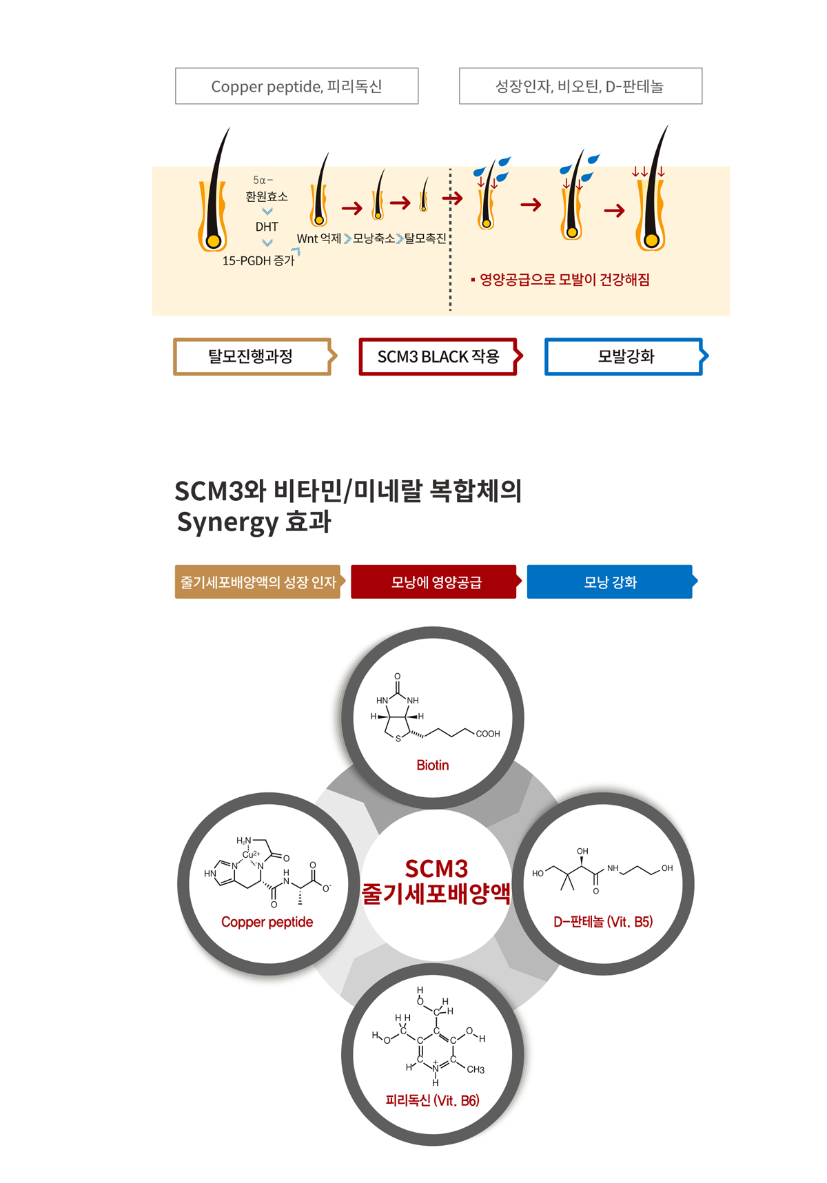 SCM3 BLACK (전문가용, 탈모증상완화 기능성화장품) , 2 mL x 10 바이알 > SCM3 BLACK | 탈모병원 판매 ...
